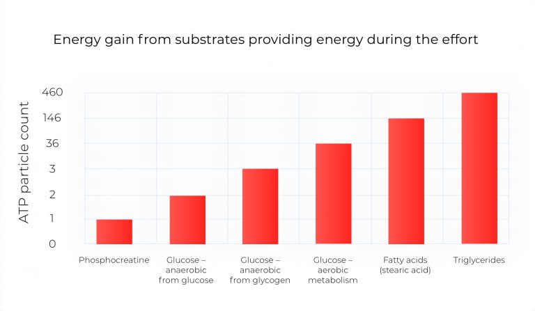 What Are 3 Energy Systems of The Body | Coaching | Cyklopedia